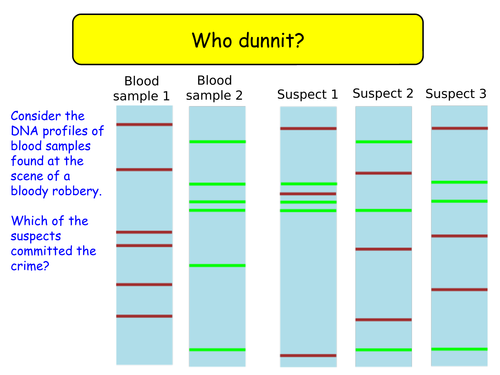 Manipulating Genomes NEW A-Level biology spec: DNA Sequencing; DNA ...