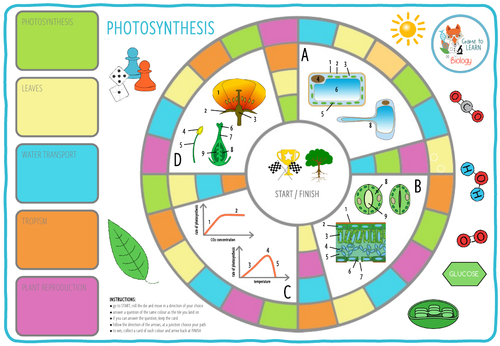 Photosynthesis - Board Game (KS4) | Teaching Resources