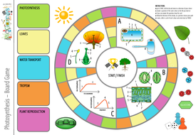 Photosynthesis - Board Game (KS4) by anjacschmidt - Teaching Resources ...