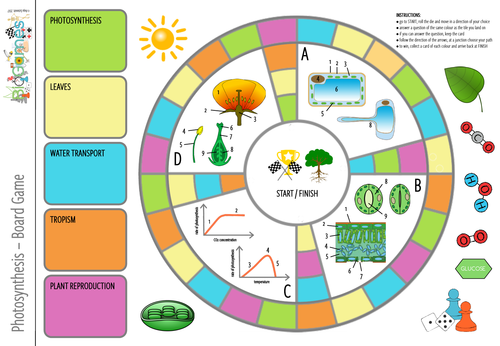 Photosynthesis - Board Game (KS4) | Teaching Resources
