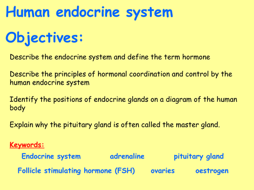 New AQA B5.6 (New Biology GCSE spec 4.5 - exams 2018) – Human endocrine ...