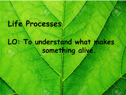 Mrs Nerg ( Life Processes) Lesson pack | Teaching Resources