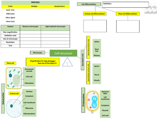 AQA Cell biology revision | Teaching Resources