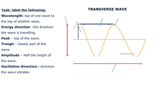 Transverse & Longitudinal Wave Diagram Label Worksheets (Differentiated ...