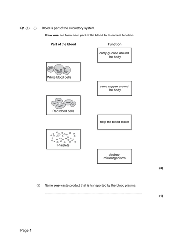NEW GCSE Biology - B4 Organisation in Animals and Plants | Teaching ...