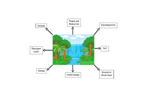 Tropical Rainforests Characteristics | Teaching Resources