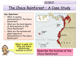 A Tropical Rainforest - The Choco Rainforest | Teaching Resources