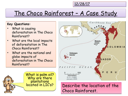 A Tropical Rainforest - The Choco Rainforest | Teaching Resources