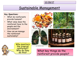 Sustainable Rainforest Management | Teaching Resources