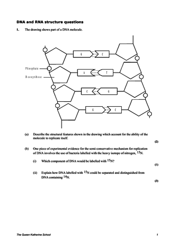 AQA NEW A LEVEL BIOLOGY - BIOLOGICAL MOLECULES, NUCLEIC ACIDS EXAM ...