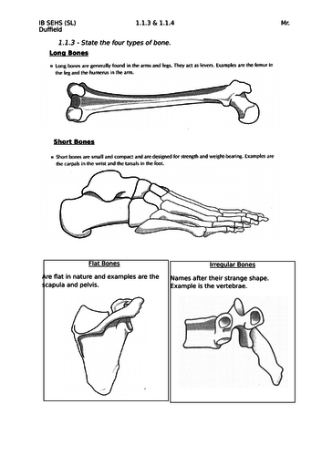 IB DP SEHS Topic 1 Complete | Teaching Resources