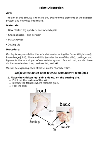 IB DP SEHS Topic 1 Complete | Teaching Resources