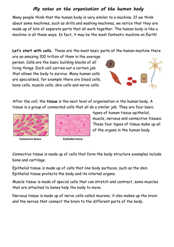 Differentiated Body Systems Levels of Organisation lesson - cells ...