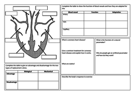GCSE Biology revision mat - The heart | Teaching Resources