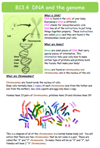 Foundation Text on DNA and the Genome | Teaching Resources