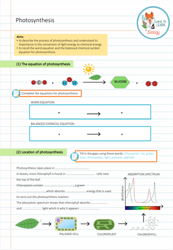 Photosynthesis - Worksheet (KS3/4) | Teaching Resources