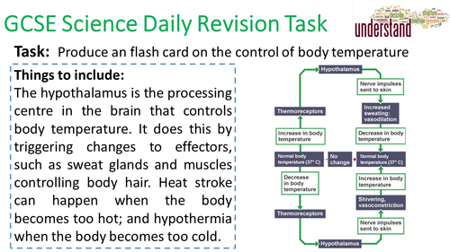 GCSE Science Term 3 Revision Pack | Teaching Resources