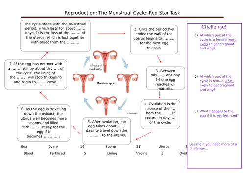 KS3 Human Reproduction including puberty, menstrual cycle and pregnancy ...