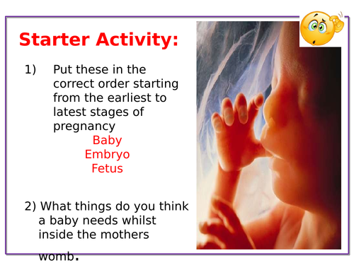 KS3 Human Reproduction including puberty, menstrual cycle and pregnancy ...