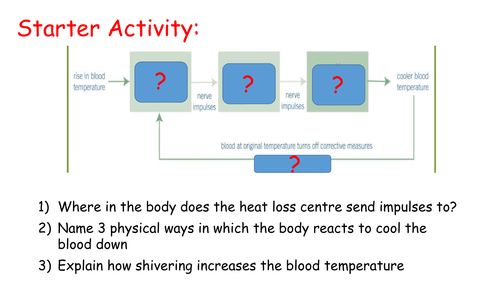 Year 12 Applied Science 1D Homeostasis unit inc. diabetes | Teaching ...