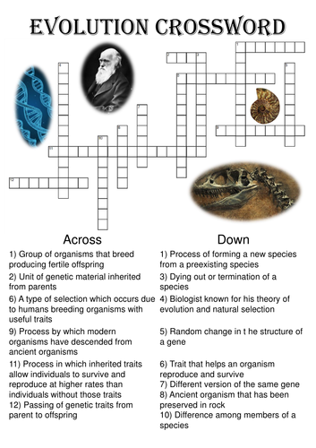 Biology: Mega Puzzle Bundle. 20 Crosswords and Wordsearches included ...