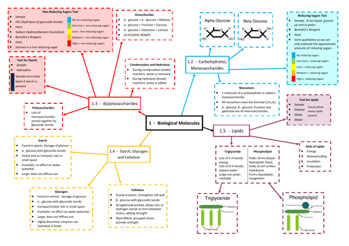 Complete Biology Revision Mind Map Set - AQA AS/A Level Biology (7041/ ...