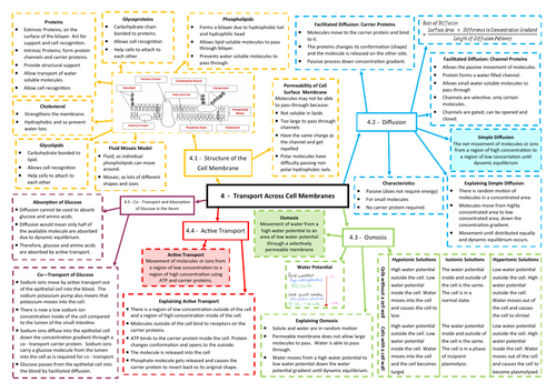 Complete Biology Revision Mind Map Set - AQA AS/A Level Biology (7041/ ...