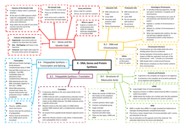 DNA, Genes and Protein Synthesis Revision Mind Map - AQA AS/A Level ...
