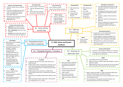 Complete Biology Revision Mind Map Set - AQA AS/A Level Biology (7041/ ...