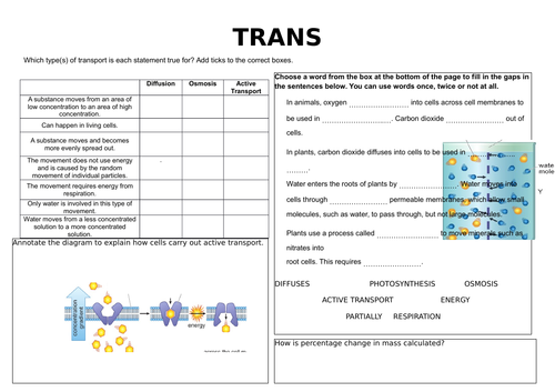 Diffusion Osmosis and Active transport | Teaching Resources