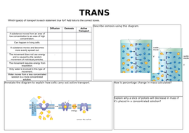 Diffusion Osmosis and Active transport | Teaching Resources