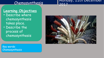 KS3 Activate Chemosynthesis | Teaching Resources