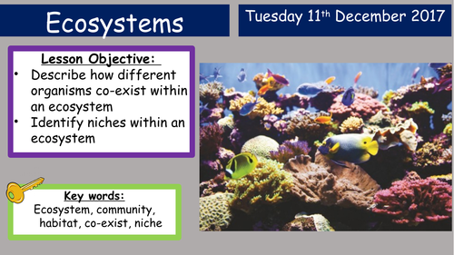 KS3 Activate Ecosystems | Teaching Resources