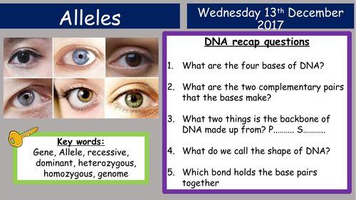 Edexcel GCSE Genetics - Alleles | Teaching Resources