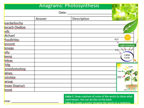 Photosynthesis Anagrams Quiz Sheet Keywords KS3 Settler Starter Cover ...
