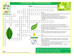 Photosynthesis Crossword Sheet Keywords KS3 Settler Starter Cover ...