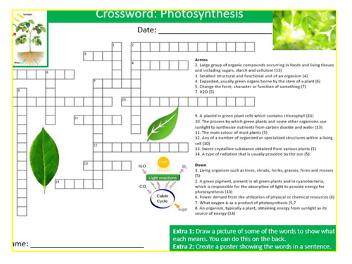 Photosynthesis Crossword Sheet Keywords KS3 Settler Starter Cover ...