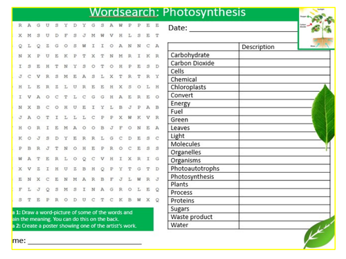 Photosynthesis Wordsearch Sheet Keywords KS3 Settler Starter Cover ...