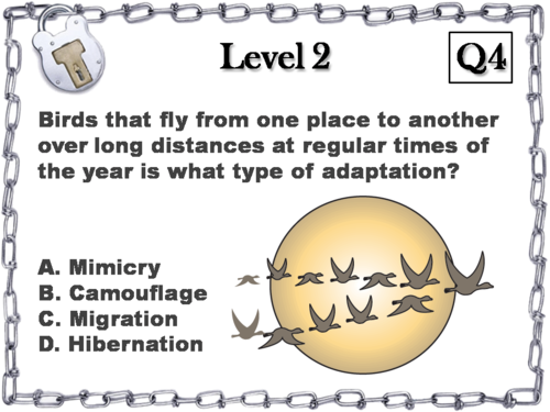 Animal Adaptations Escape Room | Teaching Resources