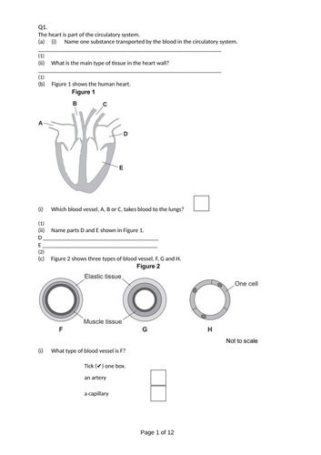 The heart | Teaching Resources