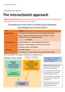 Interactionist Approach to Schizophrenia | Teaching Resources