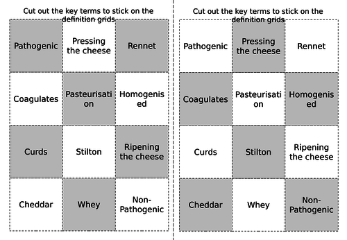 Cheese Making | Teaching Resources