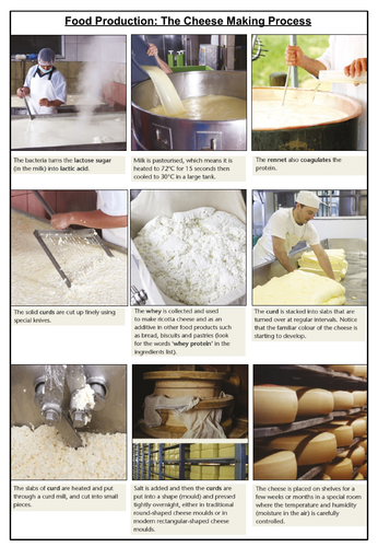Cheese Making | Teaching Resources