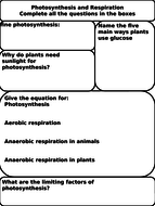 Photosynthesis and Respiration Worksheet | Teaching Resources