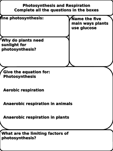 Photosynthesis and Respiration Worksheet | Teaching Resources