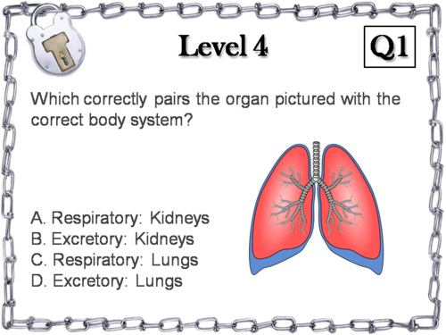 Human Body Systems Escape Room | Teaching Resources