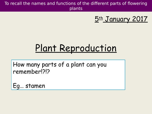 plant reproduction 3 - flower anatomy | Teaching Resources