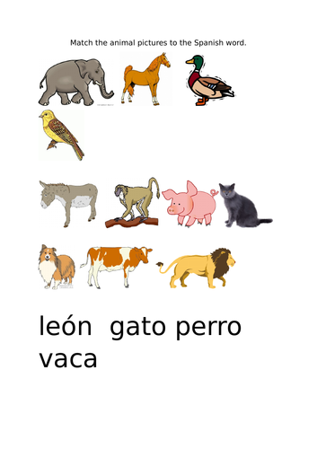 Matching animal pictures to spanish vocabulary | Teaching Resources