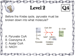 Cellular Respiration: Science Escape Room | Teaching Resources