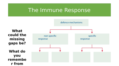 AQA A-level Immune response introduction and phagocytosis | Teaching ...